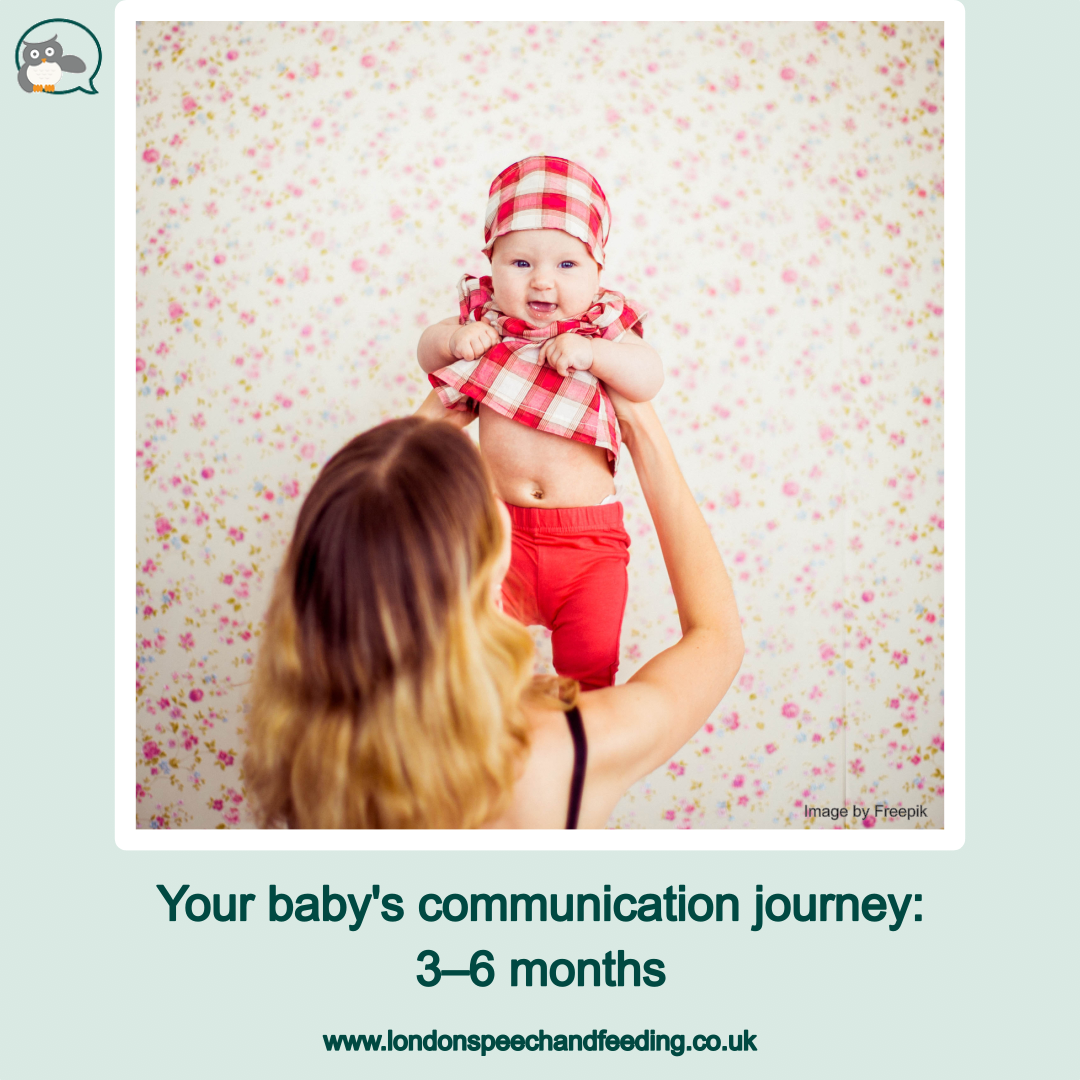 Quick Overview Of How To Implement Those Early Hanen Speech And ...